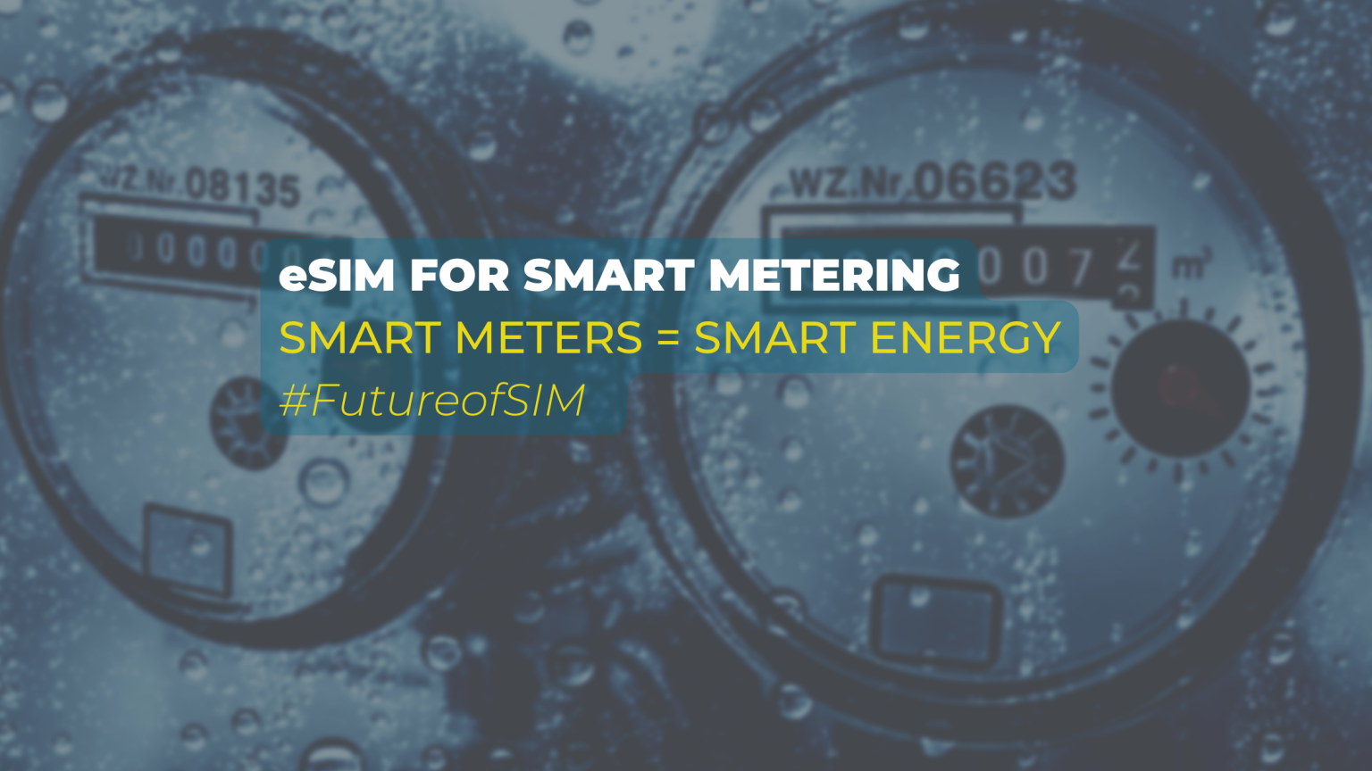 IoT for Smart Metering and big data - with eSIM for secure data