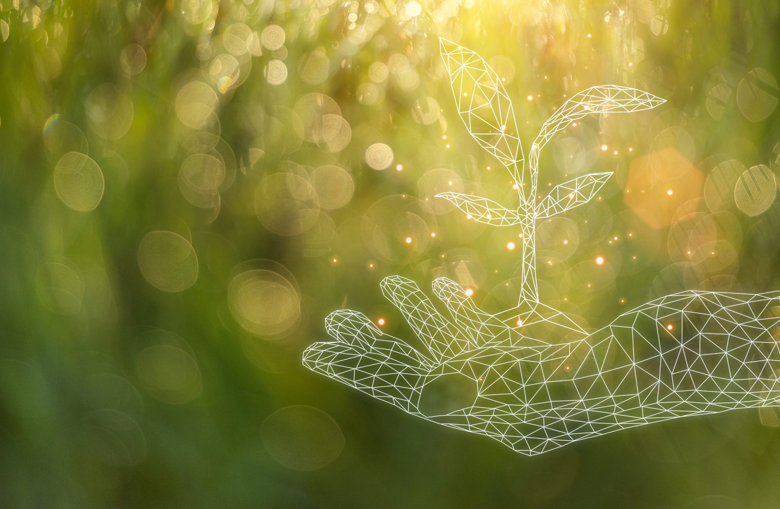 Kigen - More Planet, Less Plastic: The Journey with SIMs